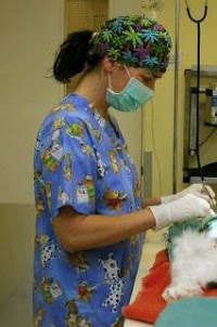 Arbury Road Veterinary Surgery in Cambridge, Cambridgeshire CB4 2JE