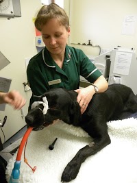 Ash Tree Veterinary Practice in Market Harborough, Northamptonshire ...