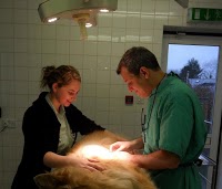 Damory Veterinary Clinic in Blandford Forum, Dorset DT11 7QT