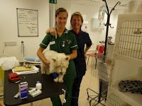 Easipetcare Vet Kettering in Kettering, Northamptonshire NN16 8AR