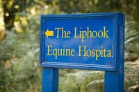 Liphook Equine Hospital in Liphook, Hampshire GU30 7JG