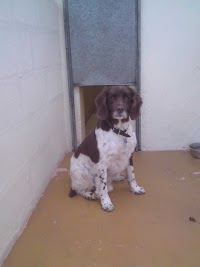Skew Hill Boarding Kennels & Cattery in Sheffield S35 8QW