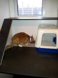 Skew Hill Boarding Kennels & Cattery in Sheffield S35 8QW