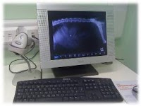 Sunrise Veterinary Surgery in Parbold, Lancashire WN8 7DA