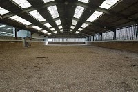 The Park Veterinary Group in St Andrews Major, The Vale Of Glamorgan ...