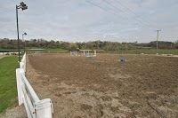 The Park Veterinary Group in St Andrews Major, The Vale Of Glamorgan ...