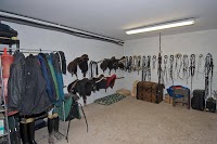 The Park Veterinary Group in St Andrews Major, The Vale Of Glamorgan ...
