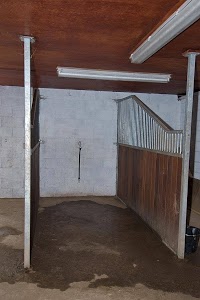 The Park Veterinary Group in St Andrews Major, The Vale Of Glamorgan ...