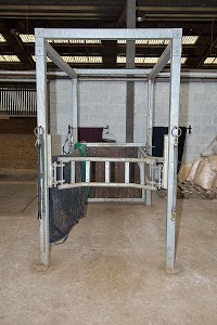 The Park Veterinary Group in St Andrews Major, The Vale Of Glamorgan ...