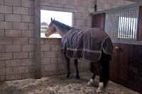 The Park Veterinary Group in St Andrews Major, The Vale Of Glamorgan ...