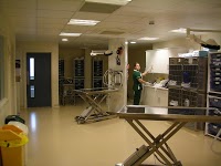 Toachim House Veterinary Surgery in Faversham, Kent ME13 8GF