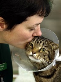 Victoria Veterinary Centre in Glossop, Derbyshire SK13 8HT